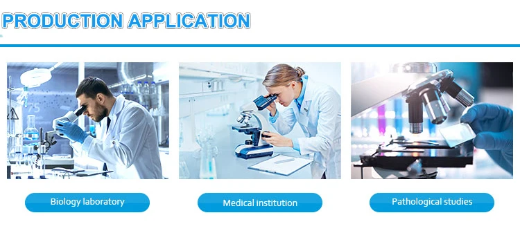 SMART-POL Polarizing Microscope - 40X to 1000X Magnification