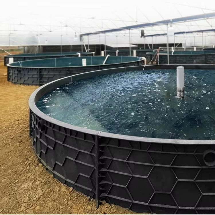 Ras Recirculating Aquaculture System Fish Tank Aquaculture Tilapia ...