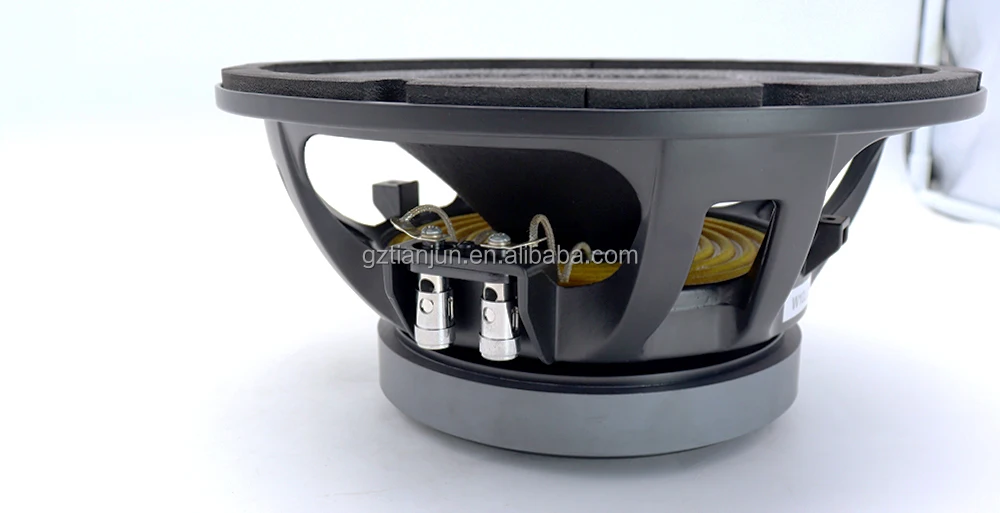 10 Inch Midbass Speaker - Professional Sound Equipment