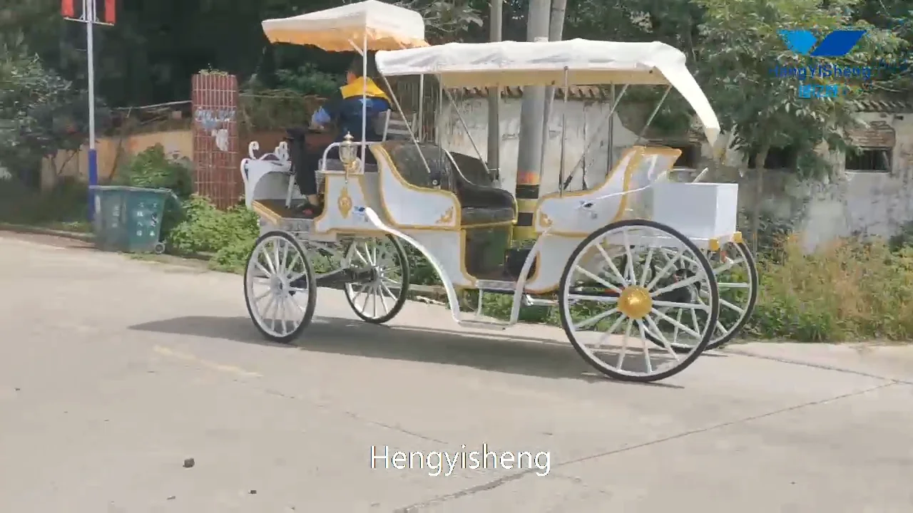 Absolute Perfect Electric Horseless Carriage For Special Events/landau ...