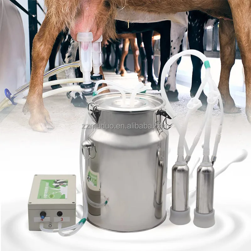 10L Electric Pulsation Milking Machine for Cows & Sheep - OEM