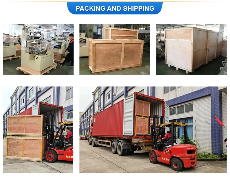 Vertical Load 20-50 Cartons /min Automatic Cartoning Machine Rotary ...