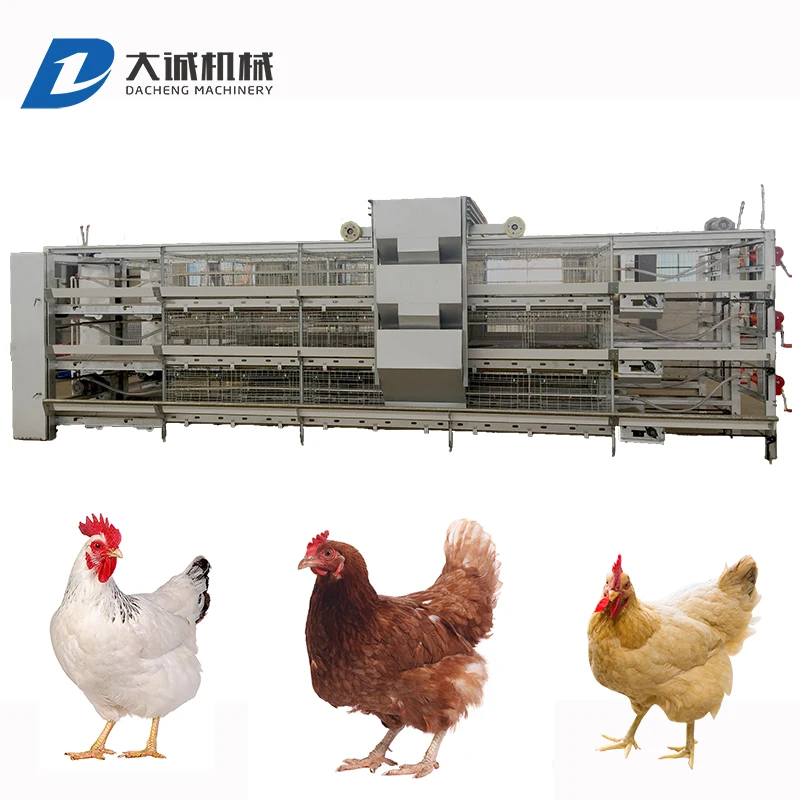 Poultry Farm House Design Automatic Galvanized Battery Broiler Chicken ...