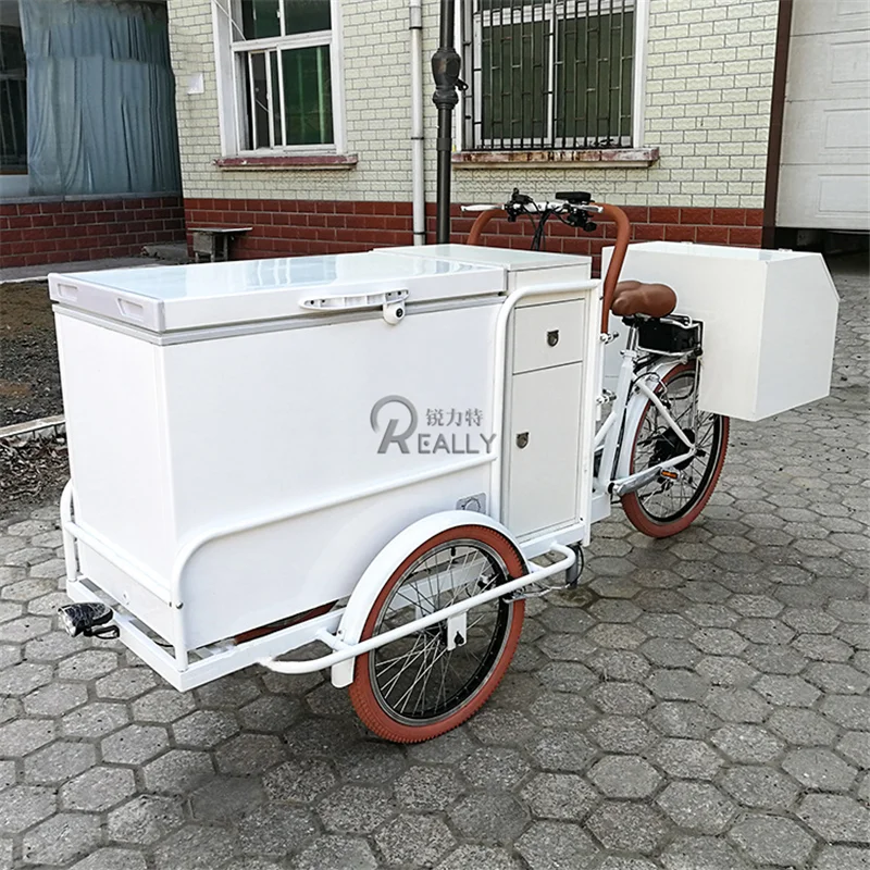 3 Wheel Cargo Bike with Freezer - Perfect for Ice Cream Vending