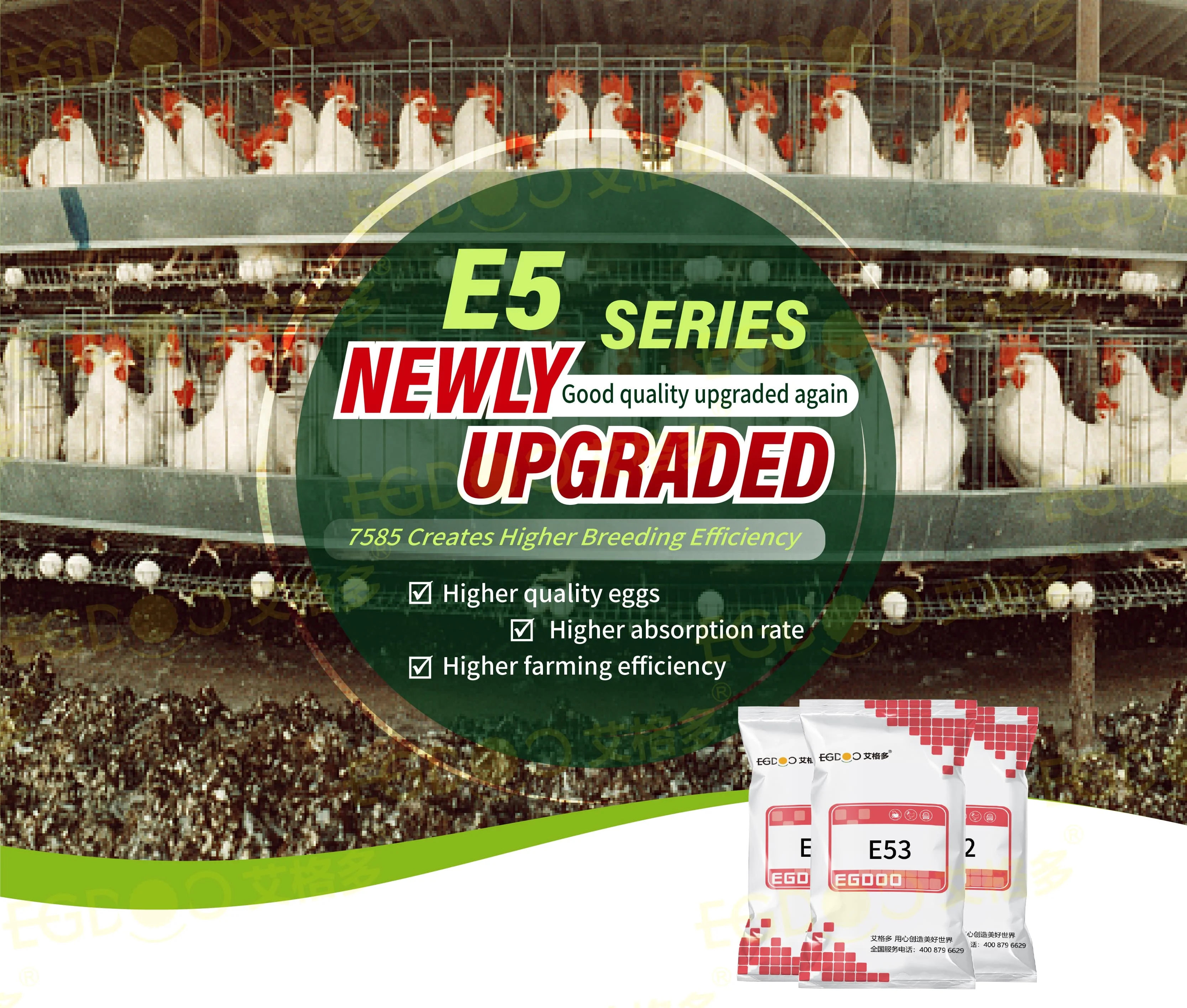 Major Innovations 5% Compound Premix Chicken Feed Preservative Powder ...