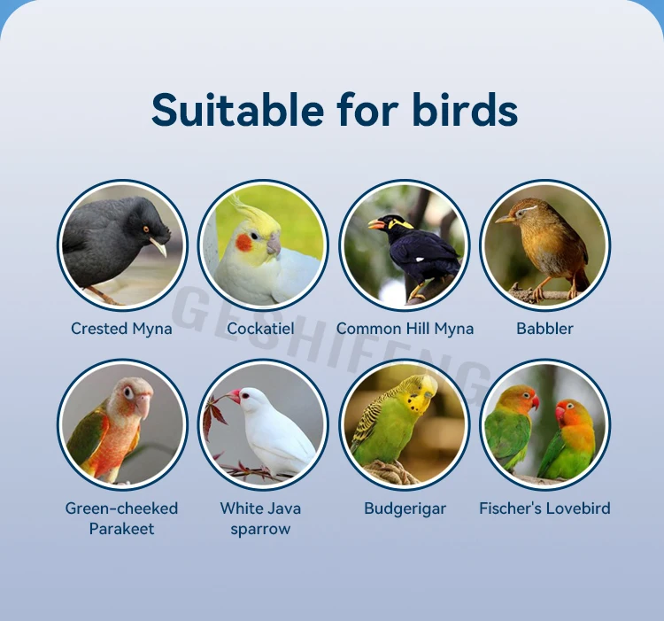 GESHIFENG 4 Layers Bird Cage - Ideal for Breeding in Pakistan