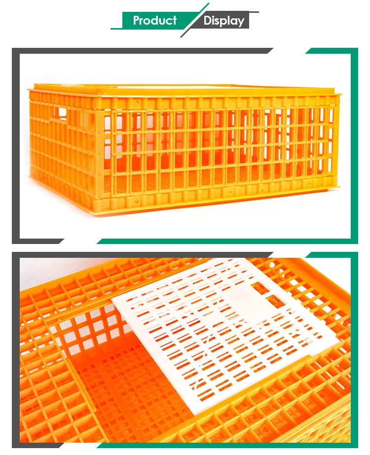 Plastic Chicken Transport Box Chicken Transport Cage With Three Doors ...