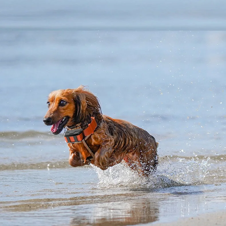 Mini GPS Tracker for Hunting Dogs - Waterproof & Portable