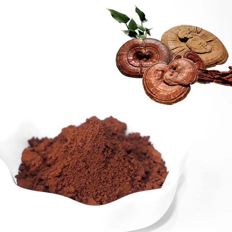 Bulk Shell Broken Ganoderma Lucidum Spore Powder Reishi Mushroom Spore ...