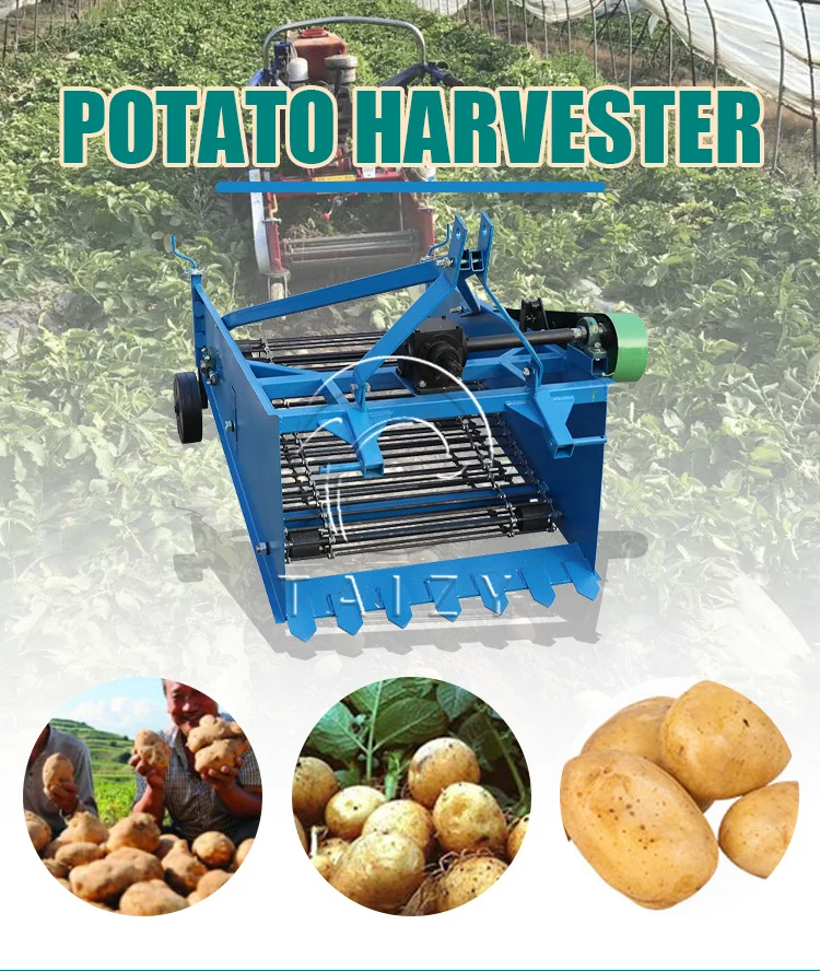 Potato Digger One Row Potato Harvester 3 Point Linkage Potato Harvest ...