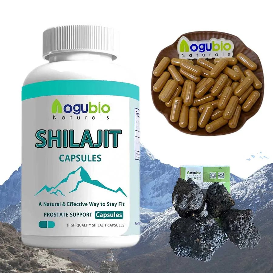 Shilajit Pure Himalayan Organic Supplement Shilajit Capsules,40% Fulvic ...