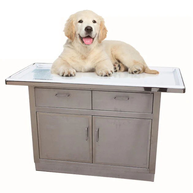 Stainless Steel Pet Exam Table with Drawers Veterinary Instrument for ...