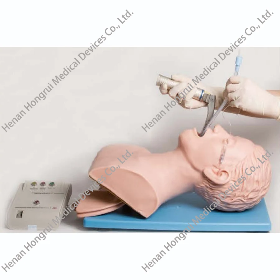 Trachea Intubation Model,Oral And Nasal Intubation Model,Electric ...