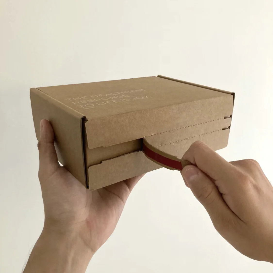 Tear To Open Zipper Airplane Box Self Adhesive Easy Tear Zipper ...