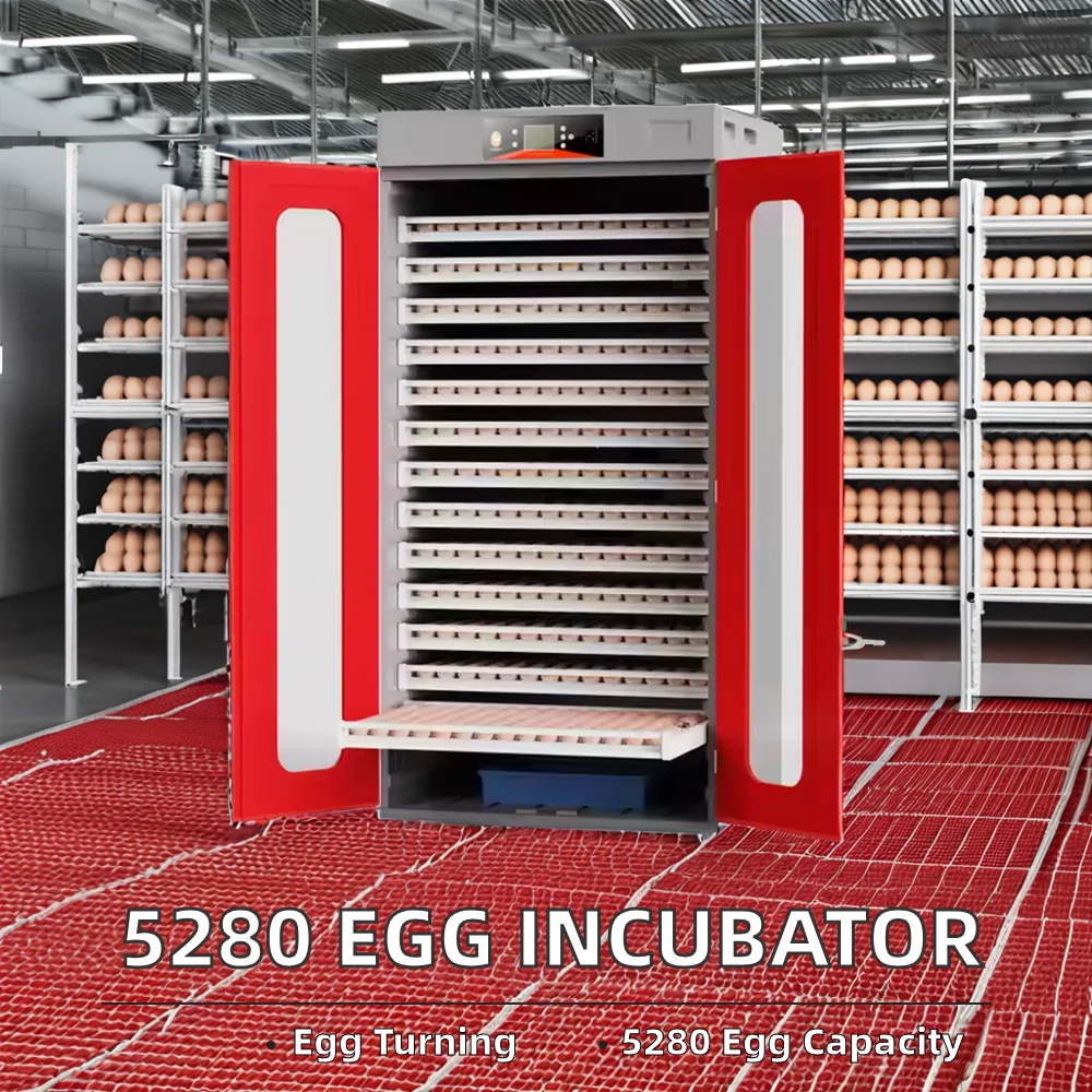 Wholesale Fully Automatic 5280 Egg Incubator Chicken Egg Hatching ...