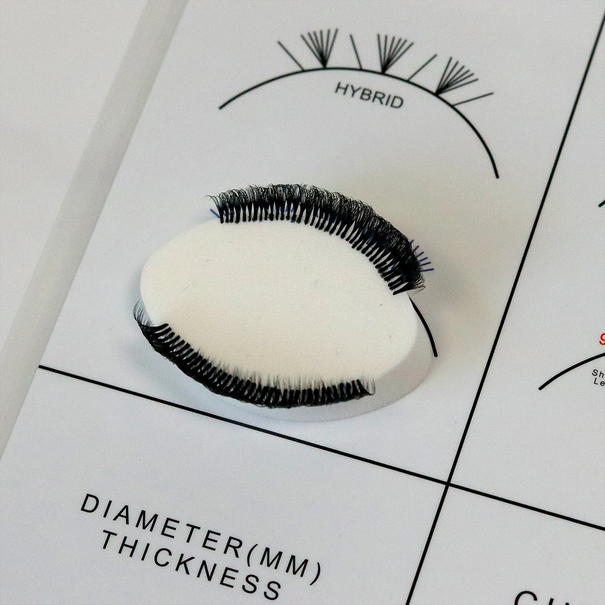 Eyelash Extension Practice - Lash Mapping Chart for Beginners