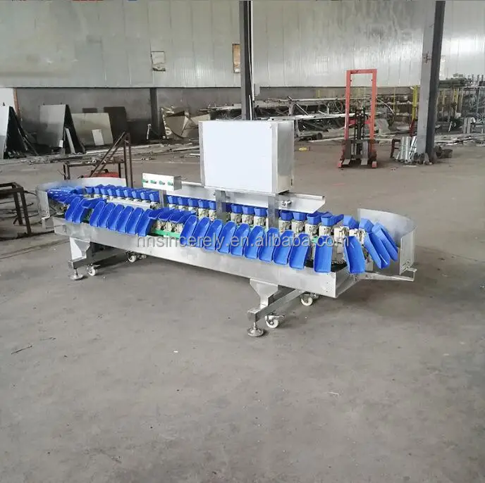 Automatic Potato Weight Grading Sorting Machine Sweet Fruit Seafood Shrimp Weight Sorter And ...