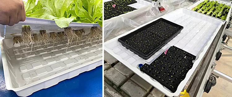 YUBO Hydroponic Grow Trays - Durable ABS Plastic Trays