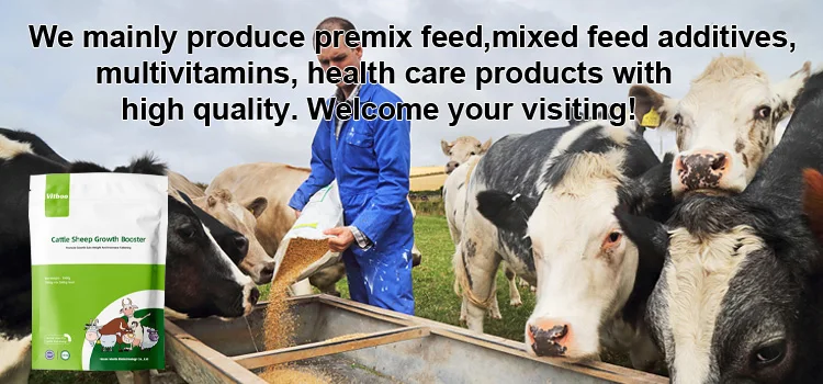 GMP Cattle Growth Booster & Multivitamins Supplement 1kg ODM