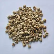 Vietnam Robusta Coffee Beans Grade 1 Wet Polished Screen 16/18 - Best ...