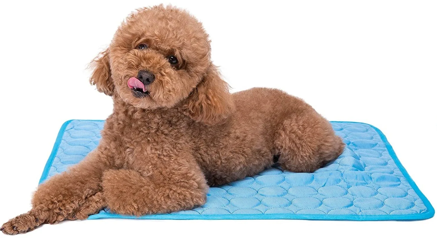 2023 Summer Cool Mat Waterproof Cats Bed Pet Cooling Mat Dog Self ...
