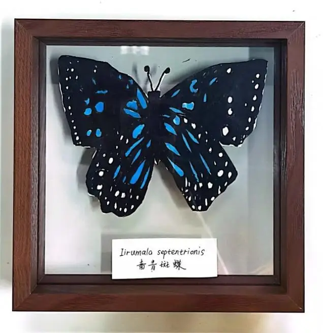 Black White Walnut Mdf 10" 9x9" 8x8"inch Decoration Art Picture Photo ...