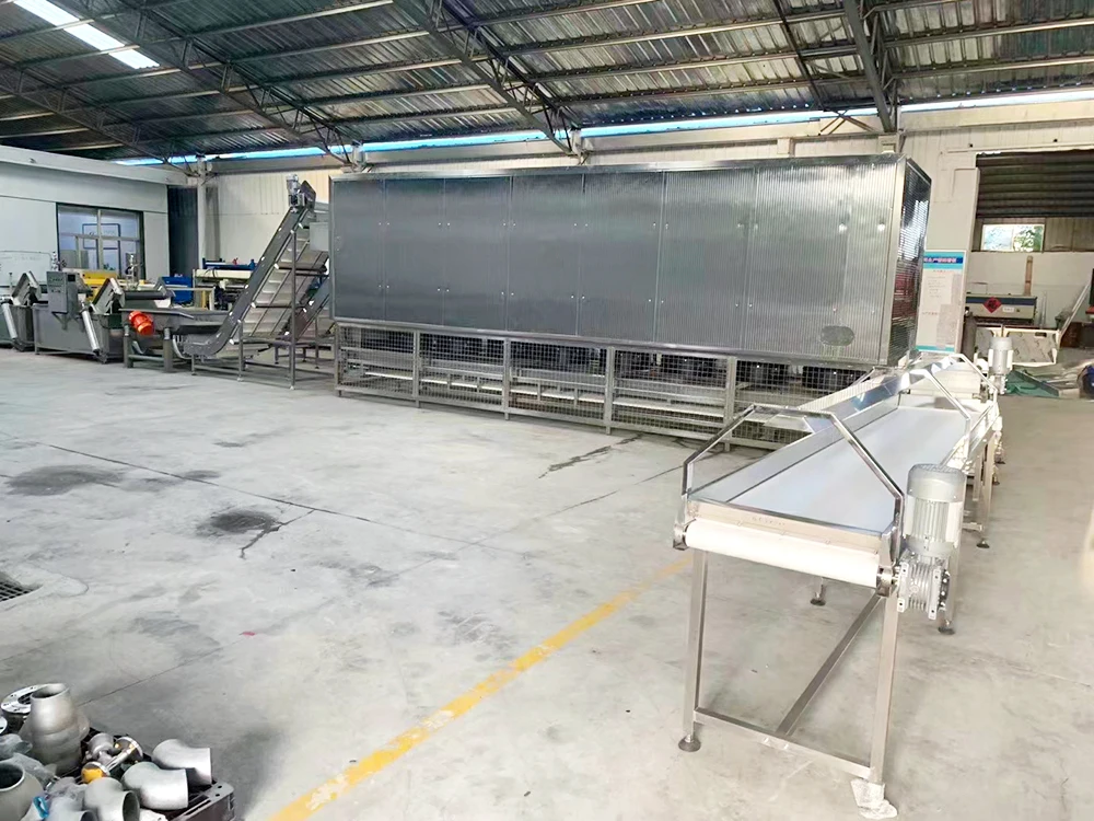 Automatic Dried Fruit & Vegetable Production Line - Dehydrator for ...
