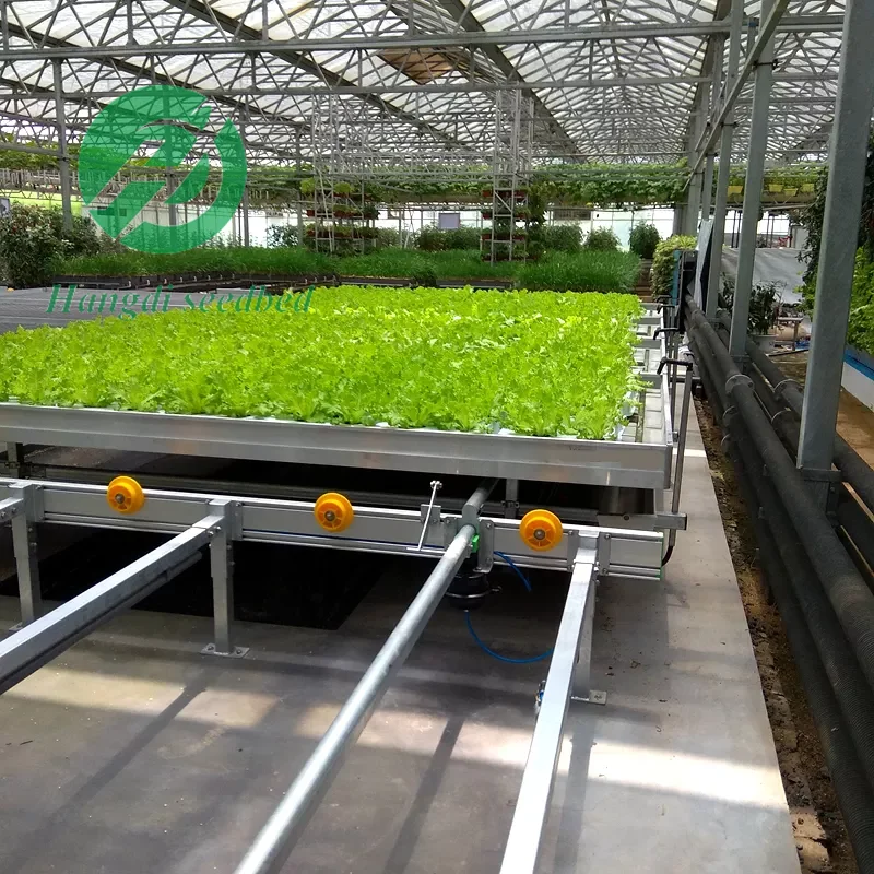 Agricultural Greenhouse Hydroponics Full-movable Bench Wire Mesh Seedbed Plants/flowers Nursery ...