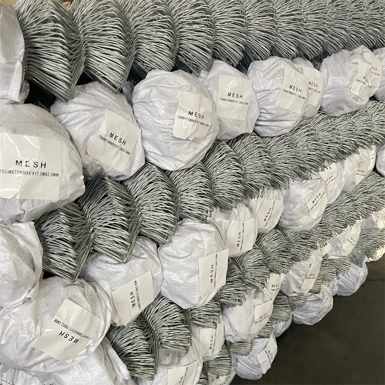 Galvanized Skid Steer Chain Link Garden Walking Fence Diamond Wire Mesh ...