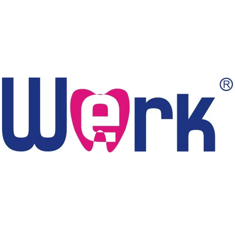 Company Overview - Shenzhen Werk Dental Materials Co., Ltd.