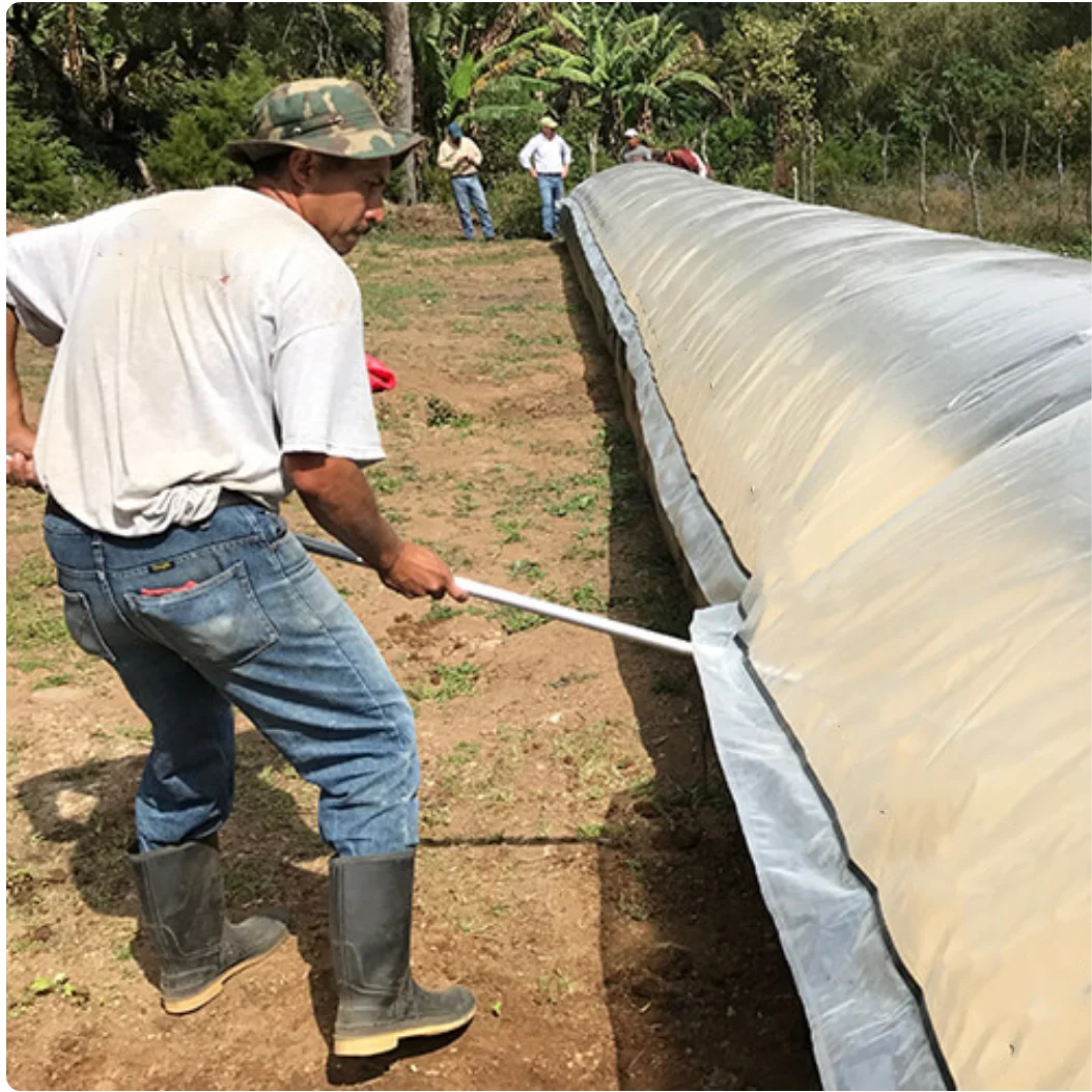 AMS-500 Grain Bubble Solar Dryer - Efficient & Energy-saving