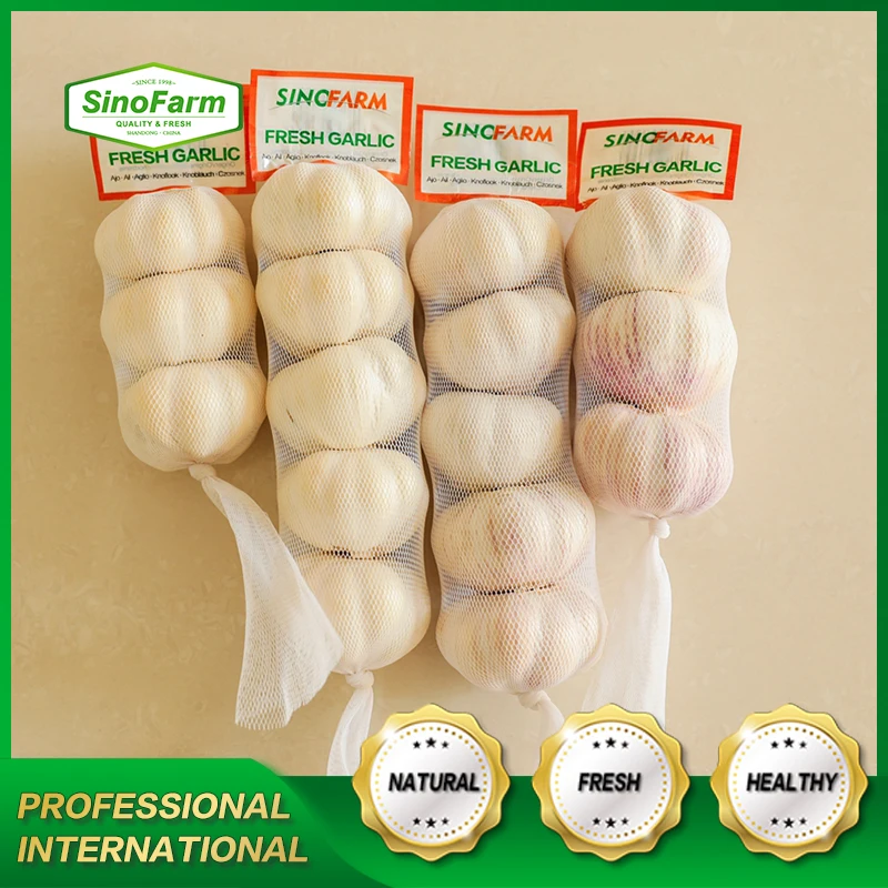 2023 New Crop Chinese Fresh Garlic Normal White And Pure White Garlic ...