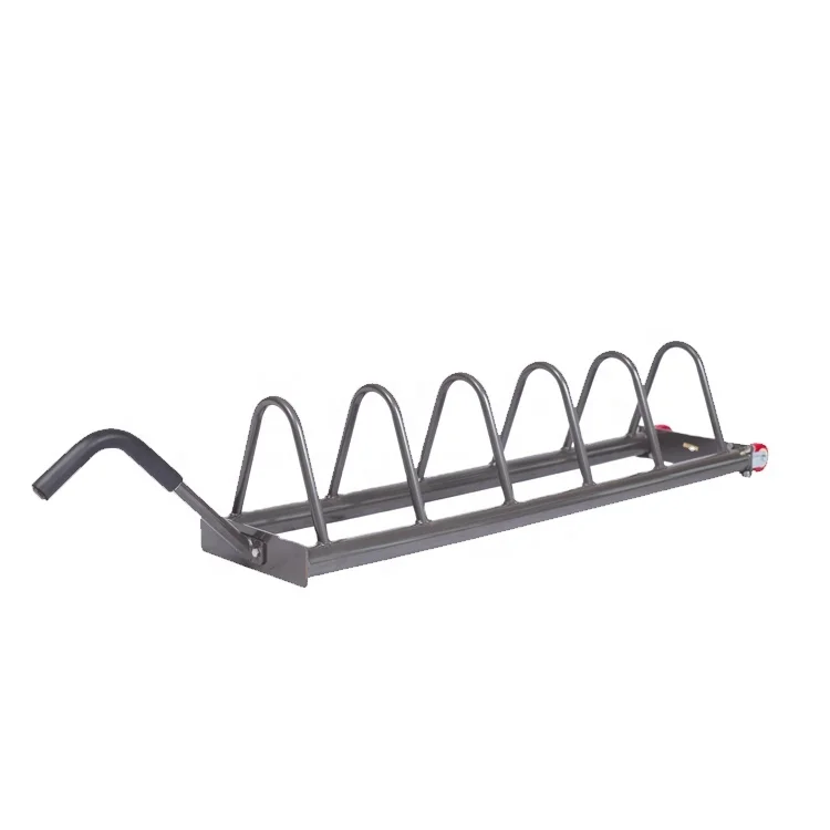 Horizontal Weight Plate Rack Organizer Storage with Steel Frame and ...