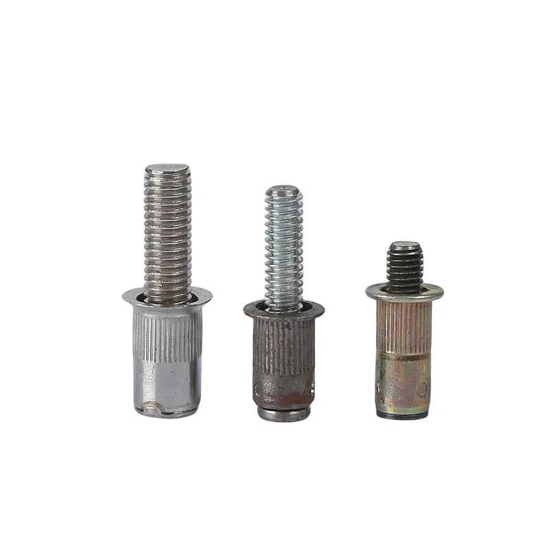 Stud and the Rivet Stainless Steel Rivet Bolt With Through-hole Ring ...