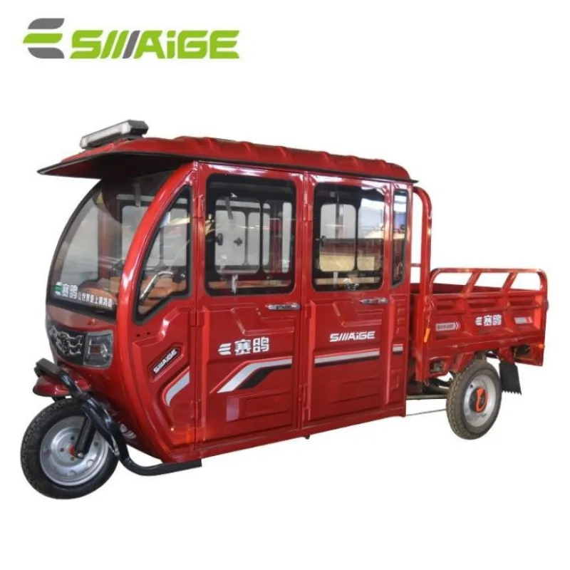 Saige EEC COC 3 Wheel Electric Tricycle Cargo Double Seat