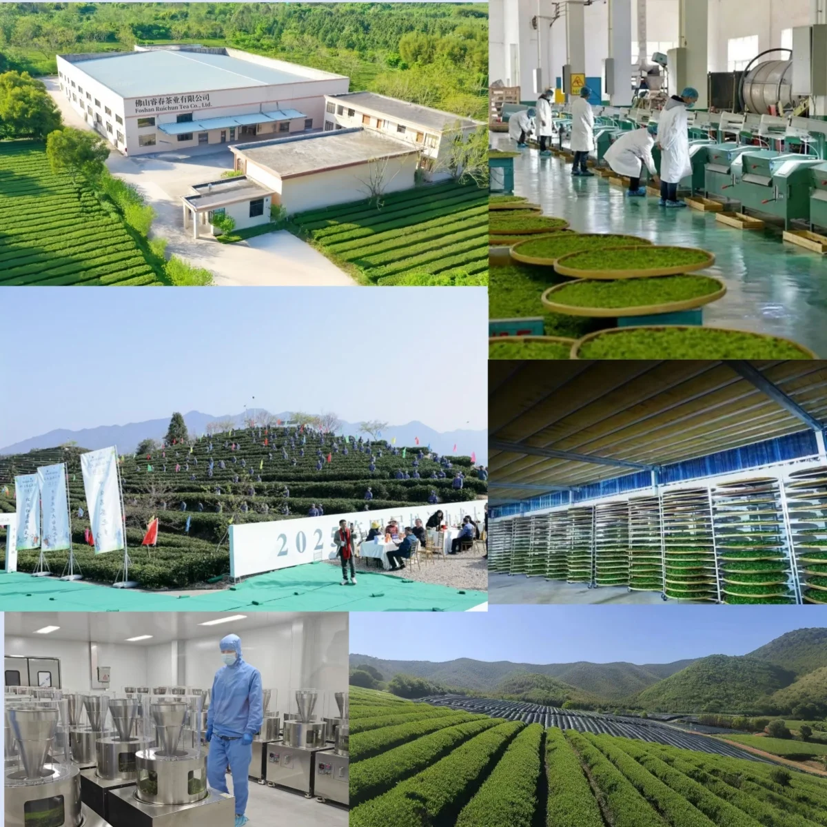 Matcha 1kg Premium Grade Pure Powder EU Certified Available in Bulk Box ...