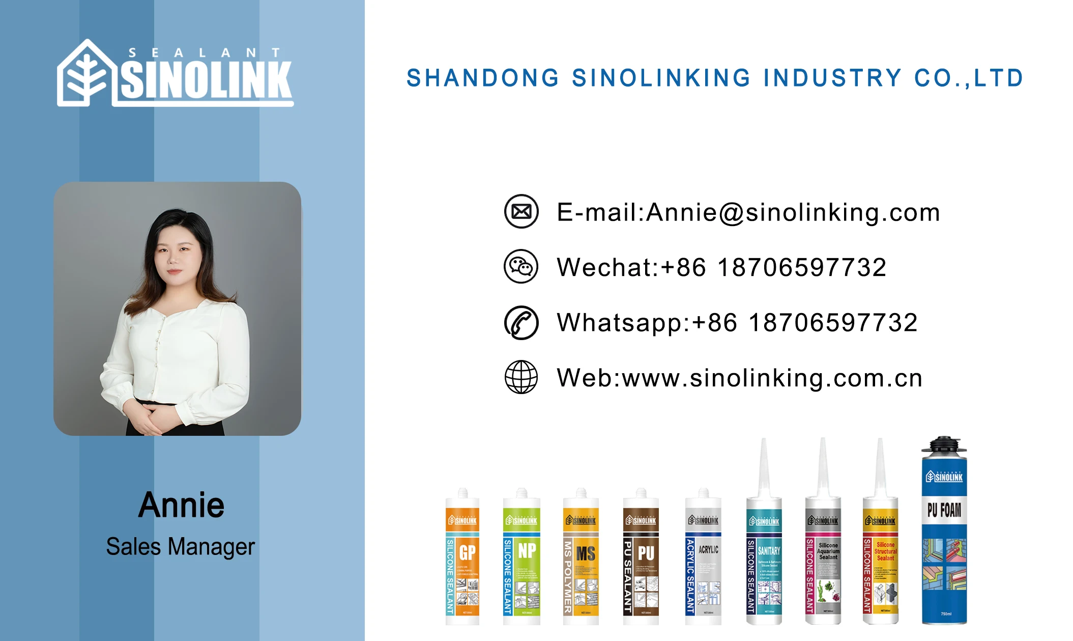 SINOLINK 750 PU Foam - Versatile Insulation Sealant Spray