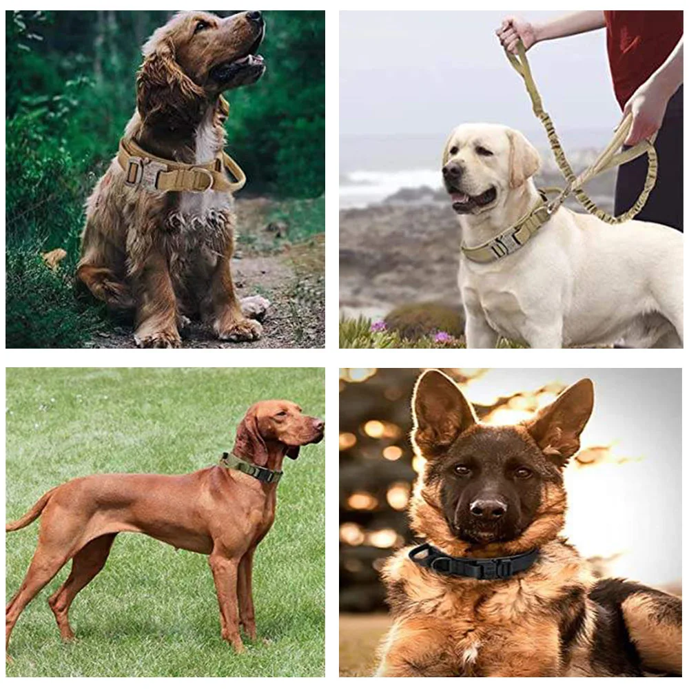 Metal Buckle Tactical Dog Collar Heavy Duty Adjustable Collars For ...