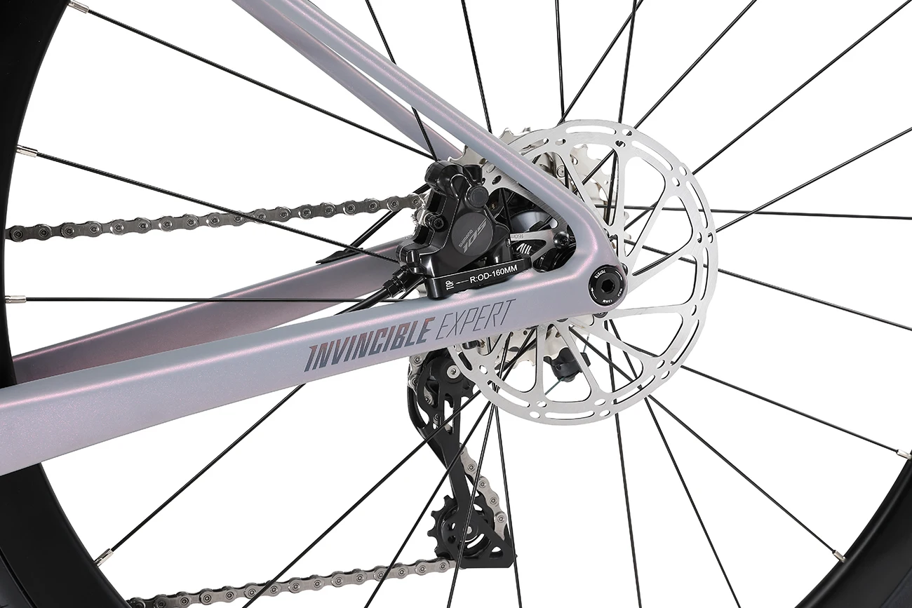 SUNPEED Carbon Road Bike INVINCIBLE EXPERT - 24 Speed Racing