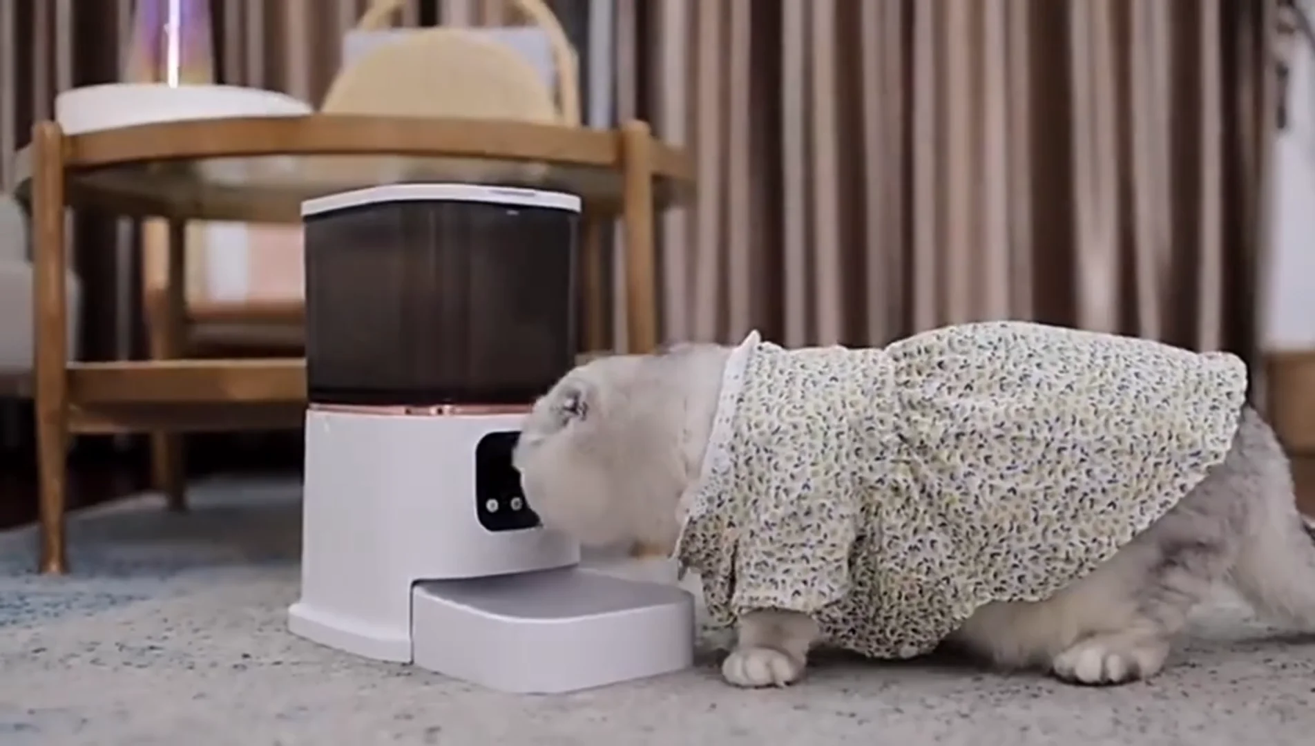 Pet Automatic Feeder With Camera Tuya App Control Smart Feeder ...