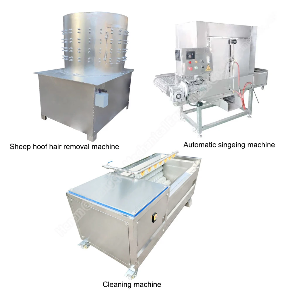 Cow Feet Cleaning Machine - High Efficiency & Productivity