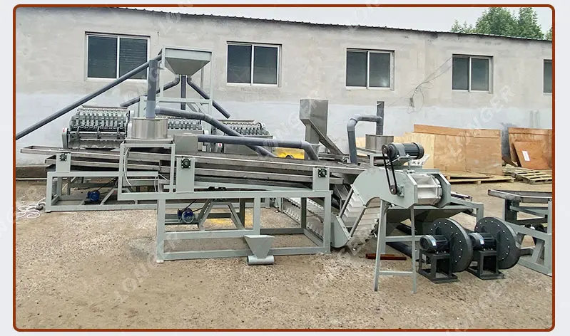 LFM Automatic Cambodia Cashews Nuts Shell Kernel Separator