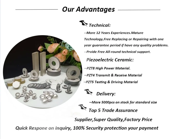 Custom Piezoelectric Ceramic Sensors for Industrial Use