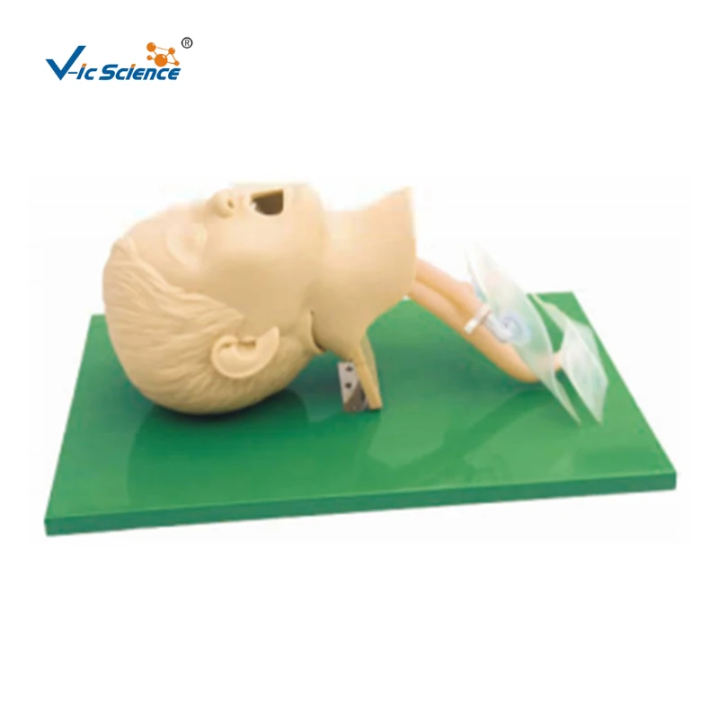 Model of Neonatal Tracheal Intubation Umbilical Artery Nursing ...