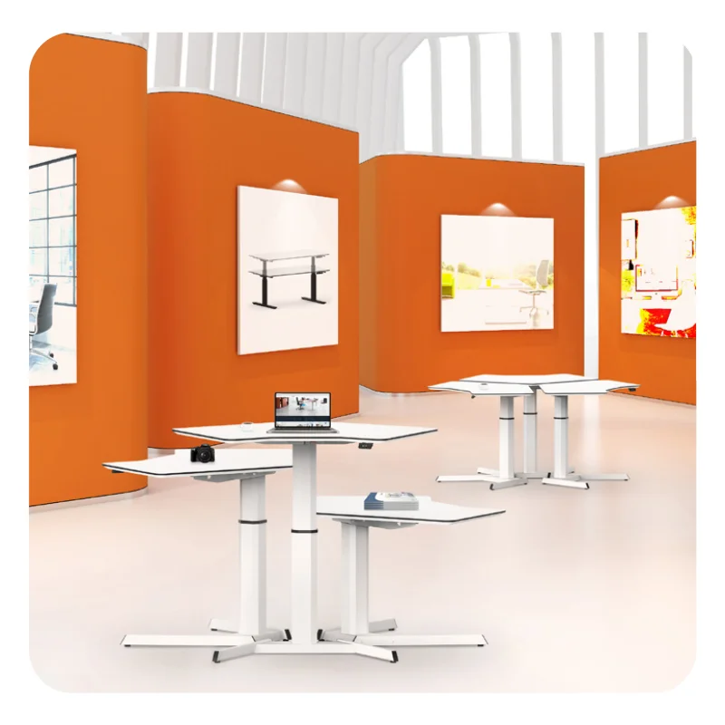 ZGO Electric Height Adjustable Desk - Perfect for Students