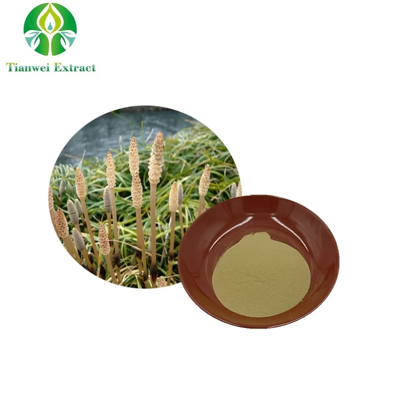 Equisetum Arvense Extract Equisetum Arvense L. Horsetail Extract 7% ...