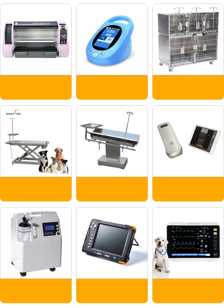 Smart F Vet Veterinary Instrument Hv-mt02 Veterinary Blood Pressure ...