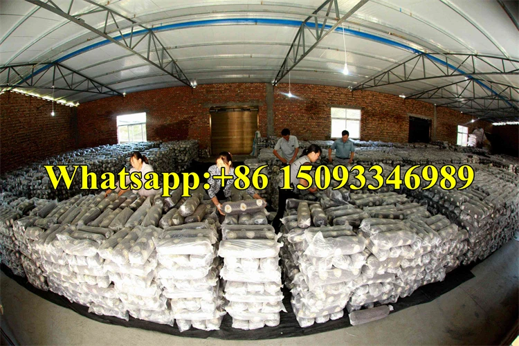 High Capacity Mushroom Inoculating Machine - JOCONN