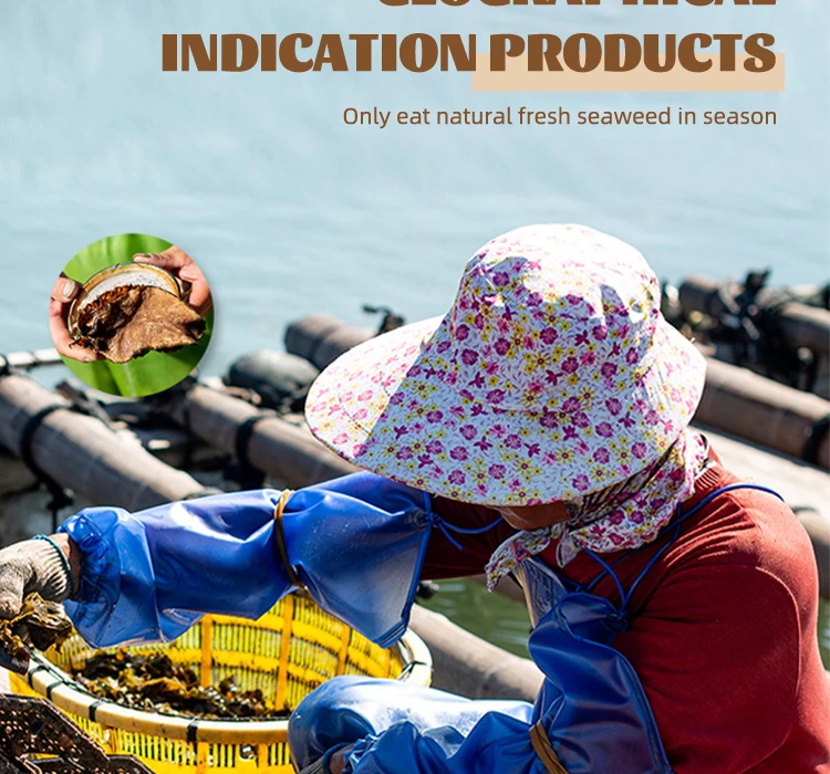 Wholesale Chinese Food Seafood Abalone Sauce Healthy Exotic Canned ...