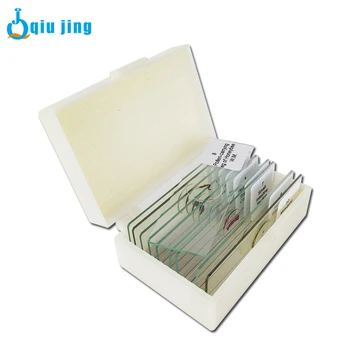 10pcs Specimens Prepared Biology Microscope Slides Set For Biology ...